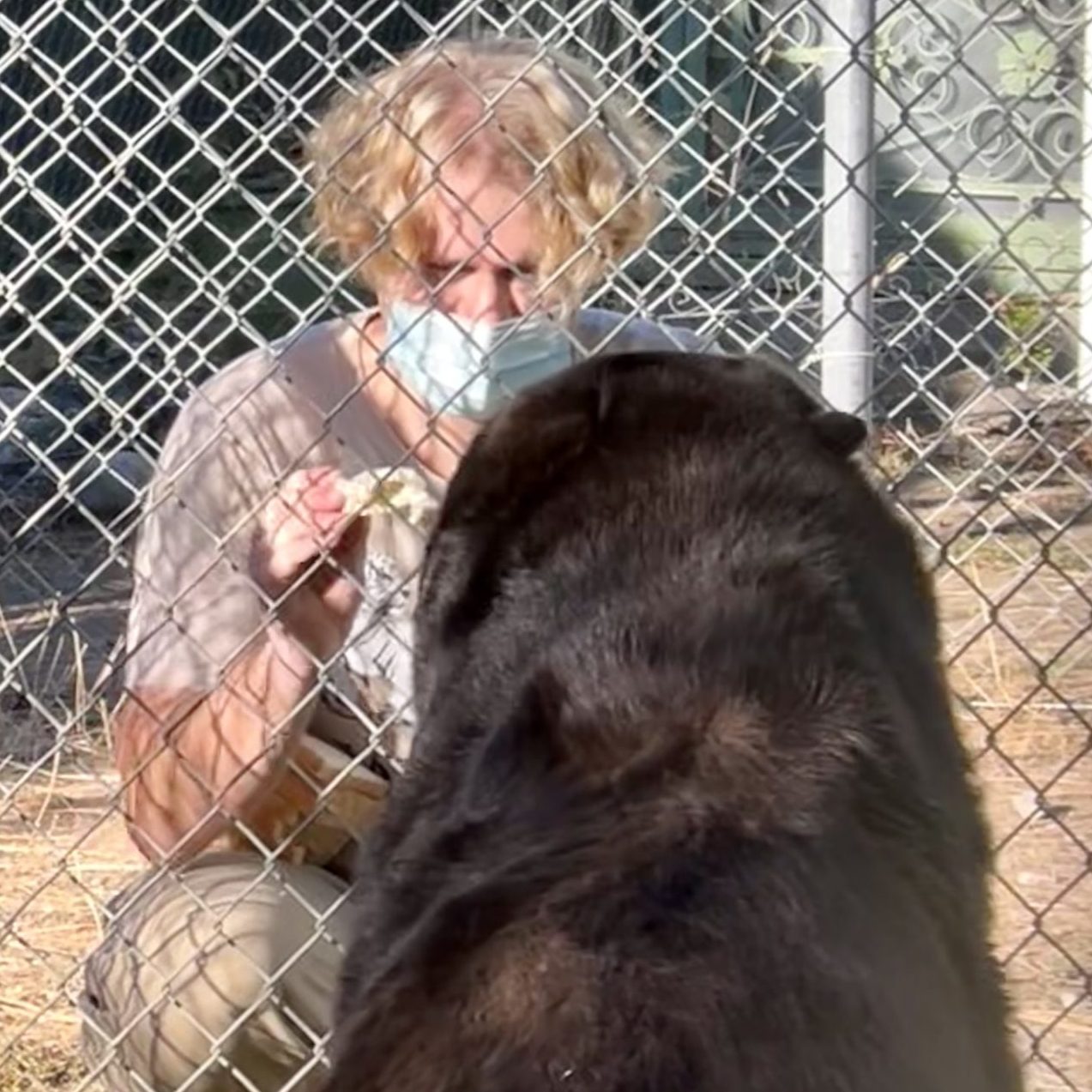 Volunteer - Cat Tales Wildlife Center