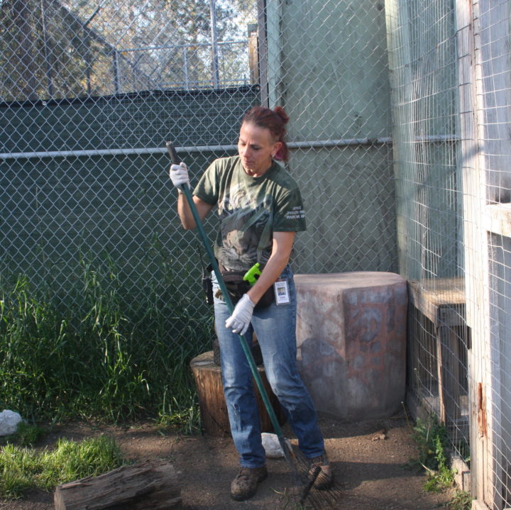 Zookeeper Academy: Embark on a Wild Career: - Cat Tales Wildlife Center
