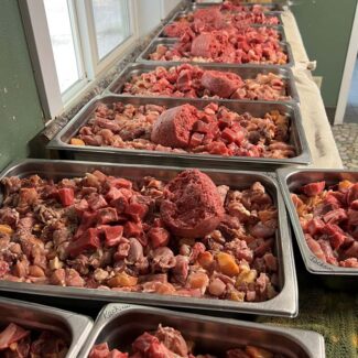 What Do Tigers Eat? - Cat Tales Wildlife Center